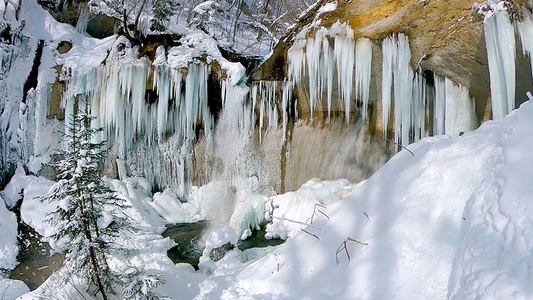 全179市町村公認！北海道の「今」をお届け Domingo -ドミンゴ-