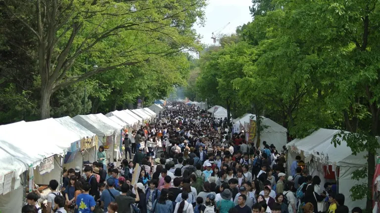 【2026年最新】札幌初夏の風物詩「北大祭」が6月5日から開催！その魅力と見どころを紹介｜Domingo